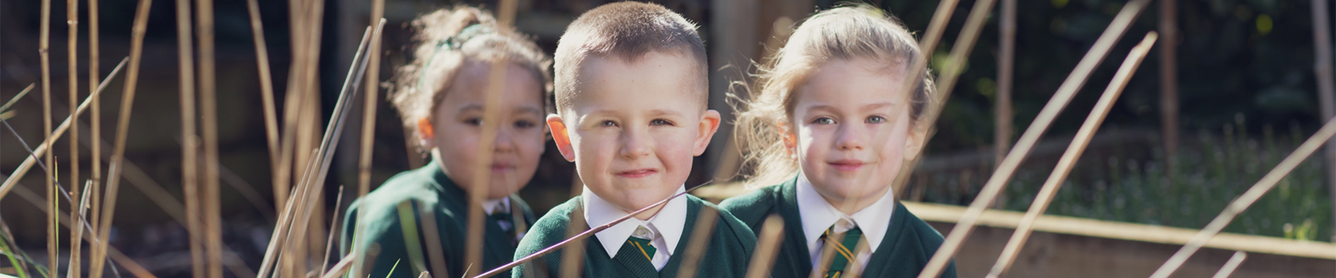 Applying to Primary School